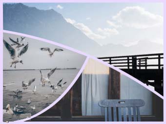 Make a Photo Grid Online for free