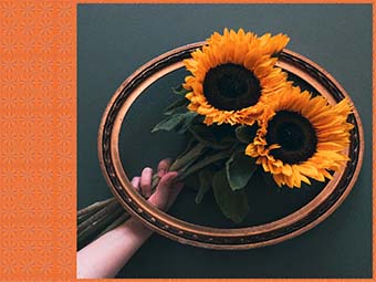 Make a Photo Grid Online for free